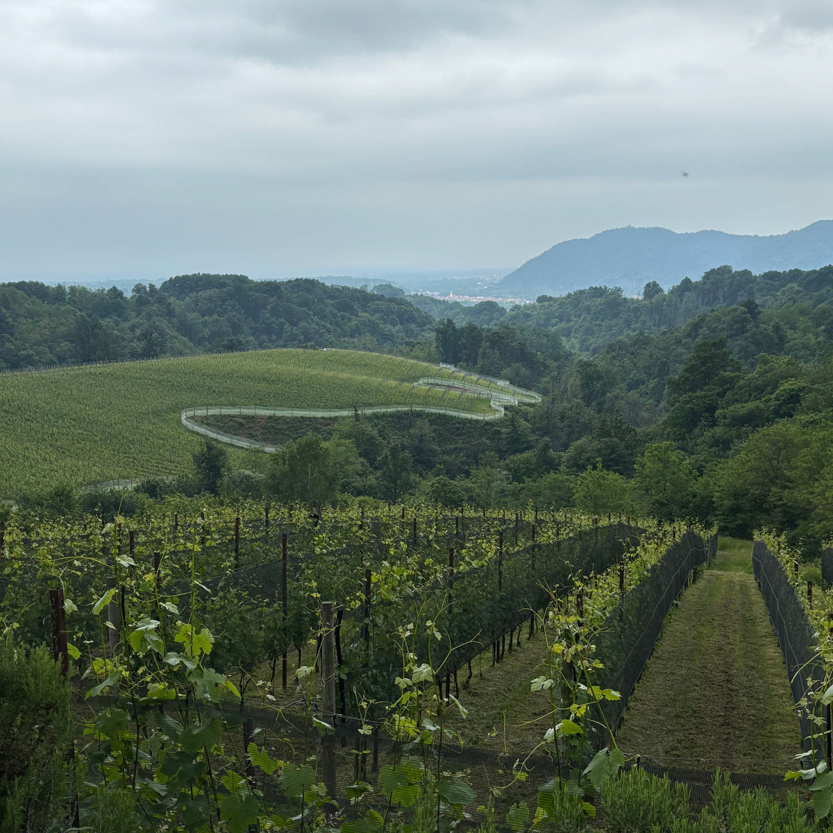 Podere ai Valloni - Barrel Down Selections